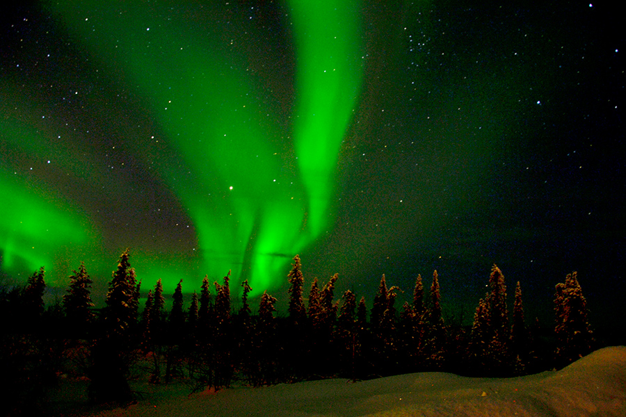 CEMIOS-Experiment: Froscheier ins All geschossen | Lucerne University ...