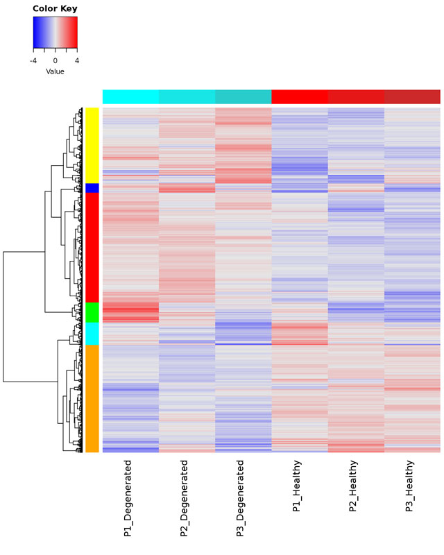 Medtech-Kooperation | Hochschule Luzern